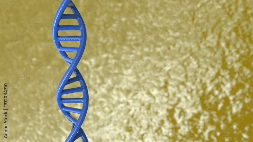 3D structural model of a DNA double helix. Isolated looped rotation of ...