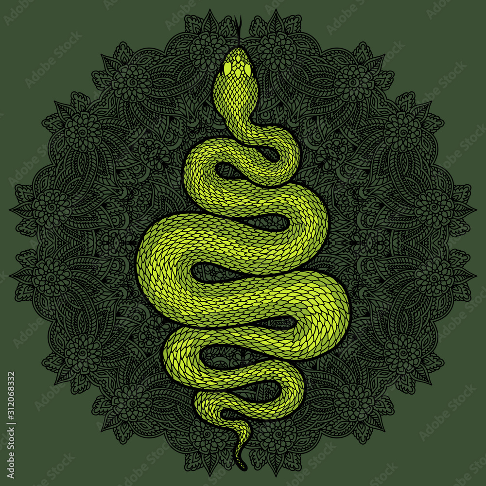 Coiled snake detailed illustration Stock Vector | Adobe Stock