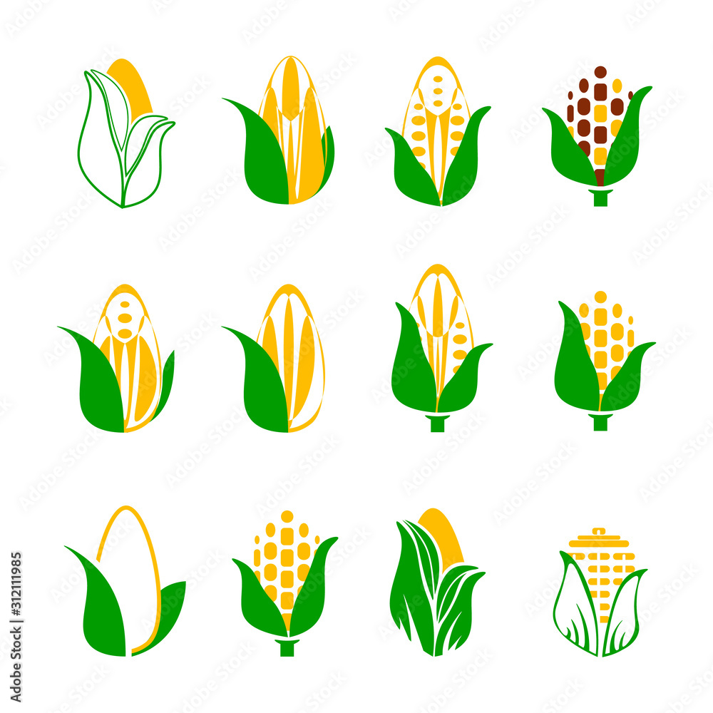 Corn icon set isolated on white background. Vector illustration Stock ...