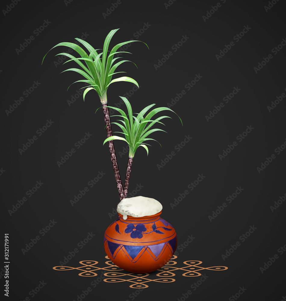 Pongal traditional Indian harvest festival Pongal Stock Photo | Adobe Stock