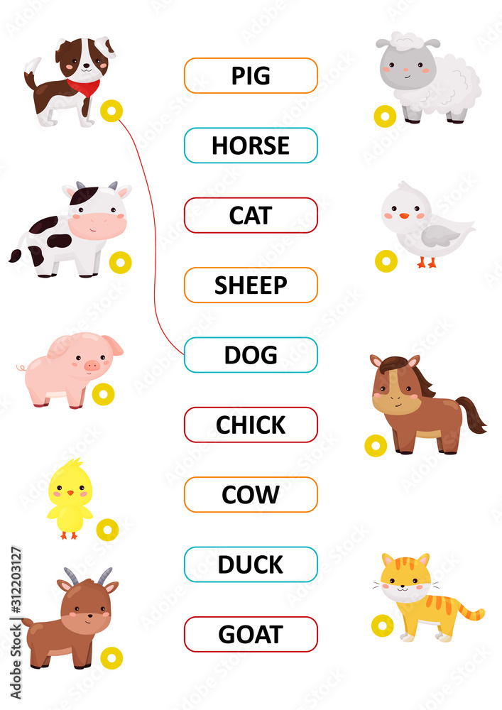 Match the words. Cute kawaii farm animals. Learn english vocabulary ...