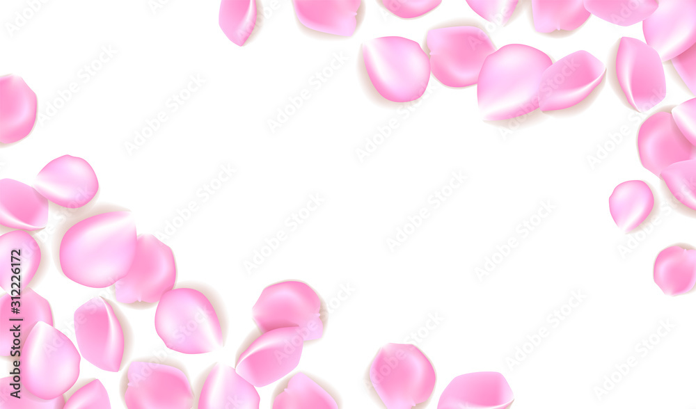 Pink rose petals isolated on white background with sample text vector ...