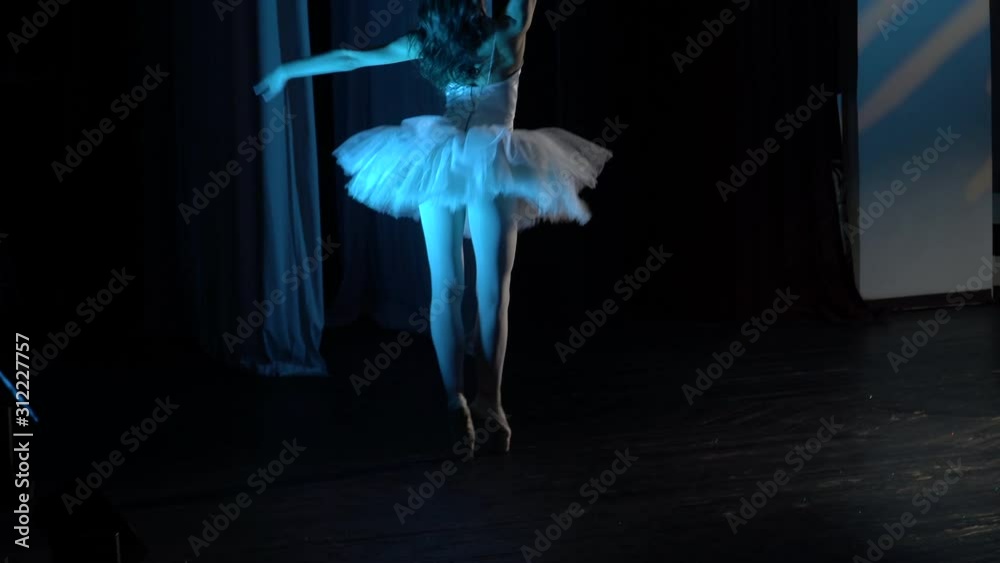 Dancer enjoy ballerina motion in light jumping. Beautiful woman ...