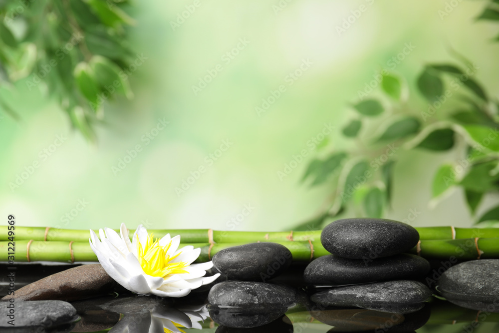 Beautiful zen garden with lotus flower and pond on blurred green ...