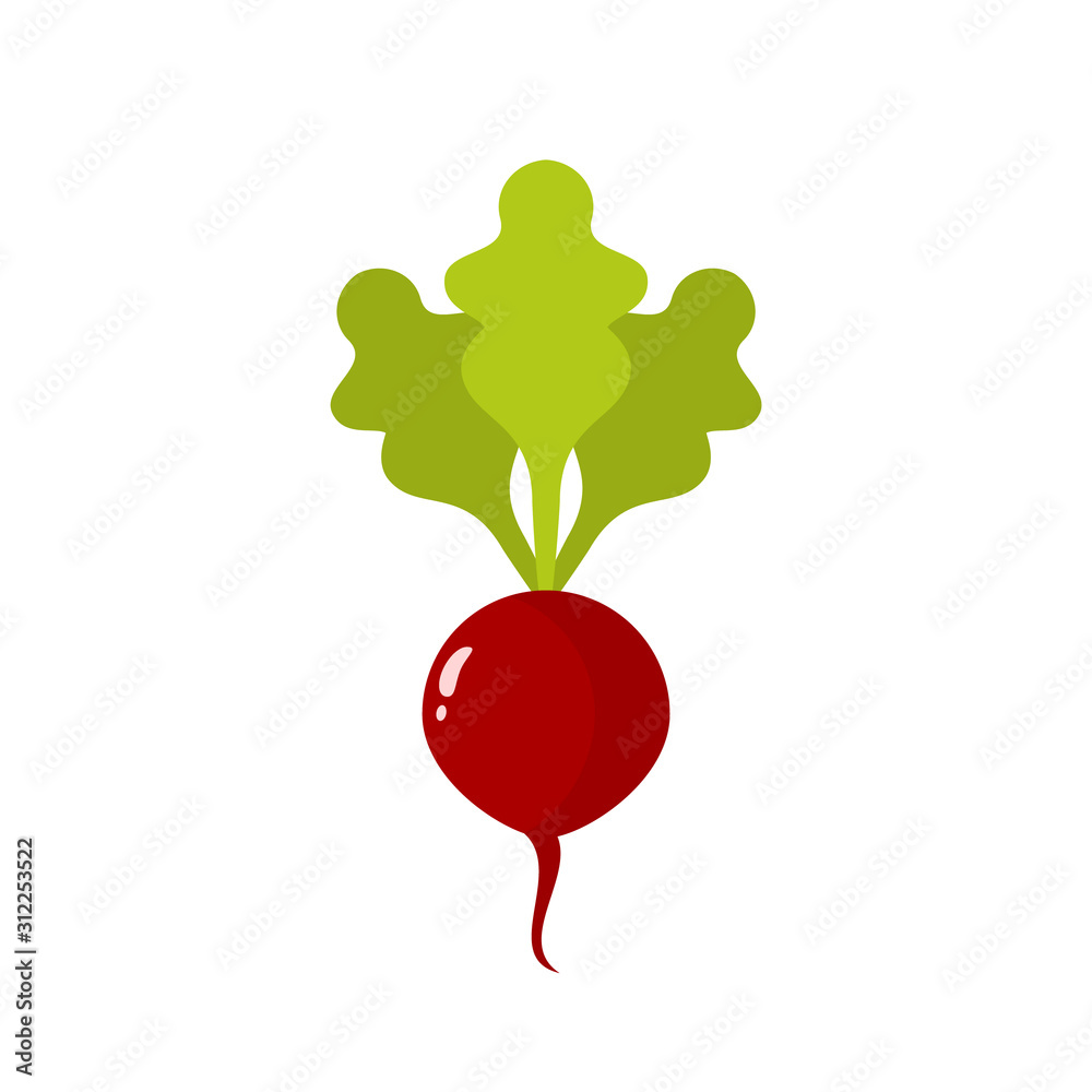Radish isolated on white background. Red radish icon with green leaves ...