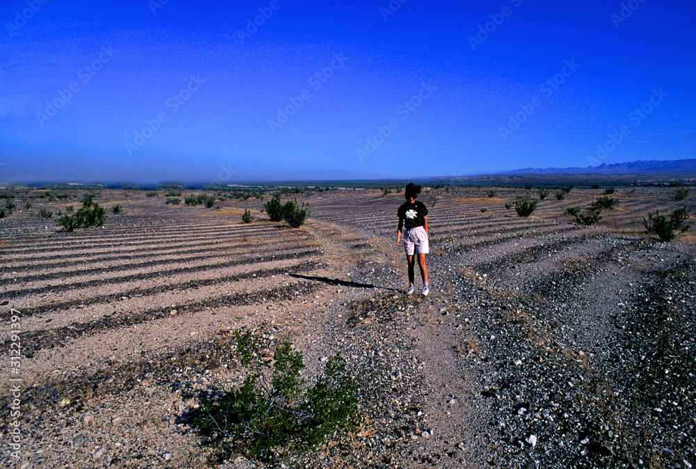 Old road crosses windrows at Topock Maze, Needles, California Stock ...