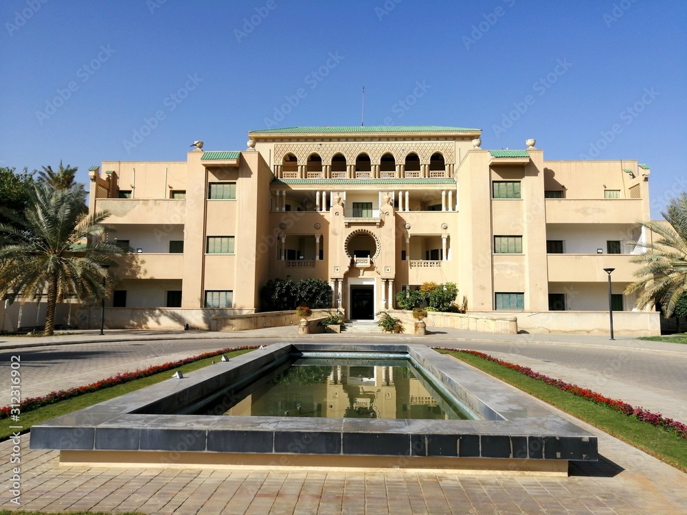 Alfaisal University Logo