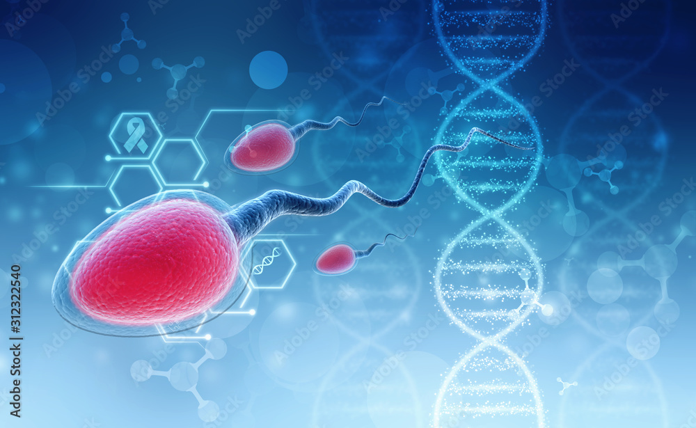 Human Sperm Cell on microscope. Scientific background, Natural ...