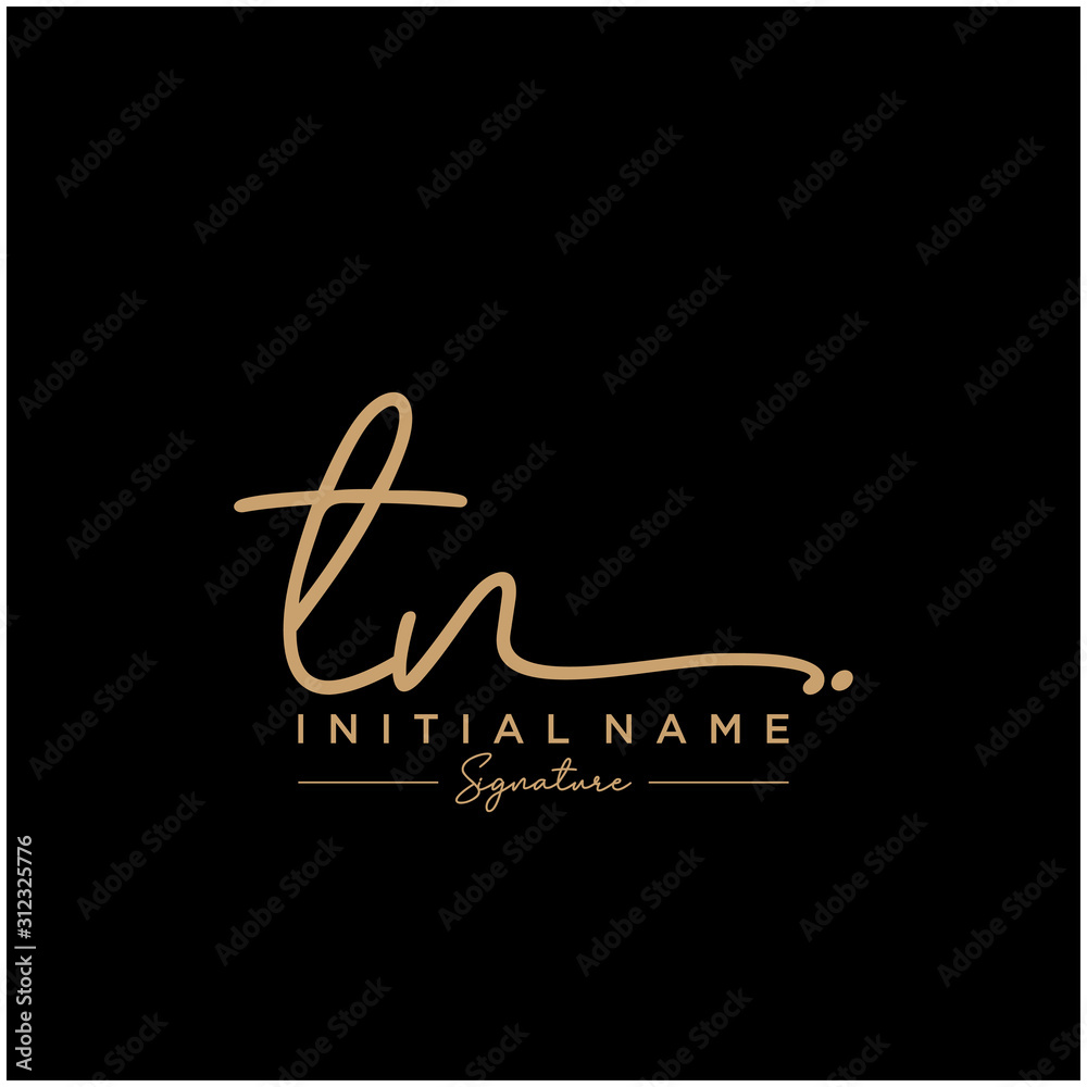 Letter TN Signature Logo Template Vector Stock Vector | Adobe Stock