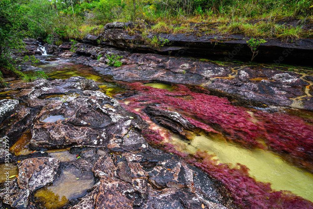 The rainbow river or five colors river is in Colombia one of the most ...