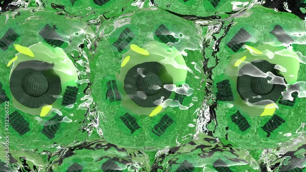 Looped 3D animation of plant cells in the zoom in. Microscopy of the ...