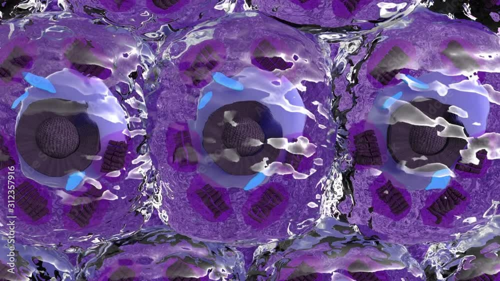 Looped 3D animation of plant cells in the zoom in. Microscopy of the ...