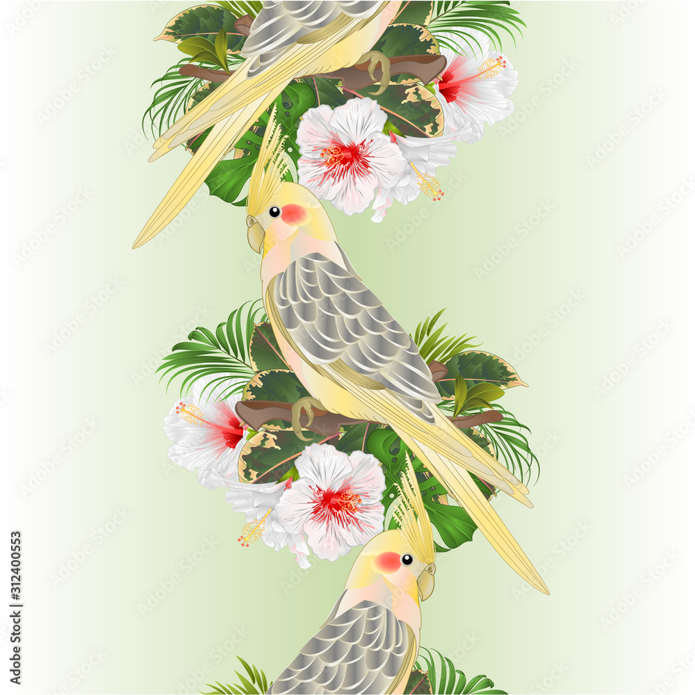 Vertical border seamless background funny parrot yellow cockatiel cute ...