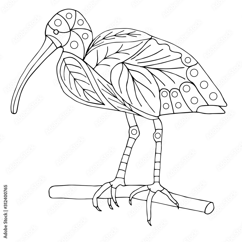 Ibis bird coloring page side view for painting vector illustration ...