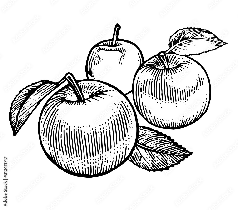Easy Pencil Shading Drawings Of Fruits