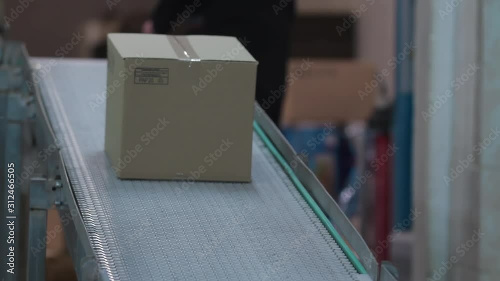 Cardboard boxe progresses along conveyor belt. Cardboard boxes on conveyor belt vídeo de Stock ...