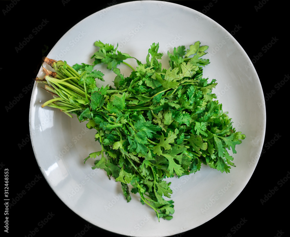 Freshly plucked green coriander plant leaves kept in a white plate ...