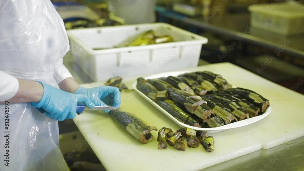 Female worker cutting smoked fish at fish factory. Fish processing ...