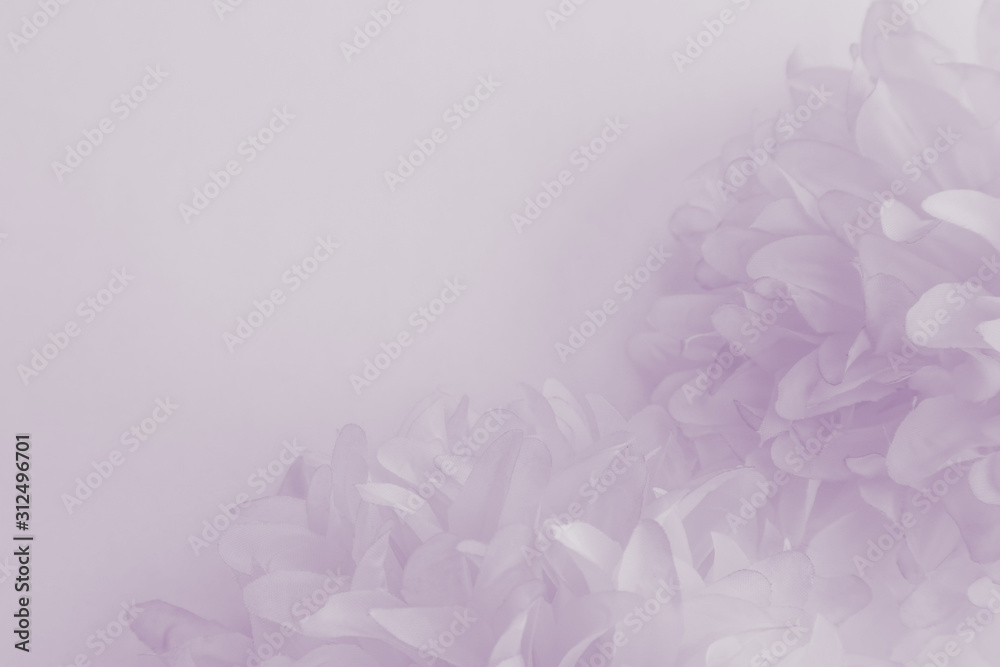 Beautiful abstract color purple and blue flowers on white background ...