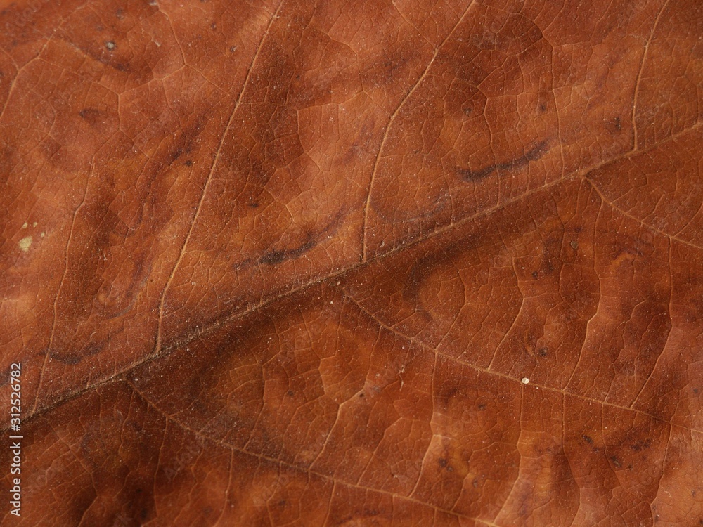 textures bois/metal/pierre/ ancien Stock Photo | Adobe Stock