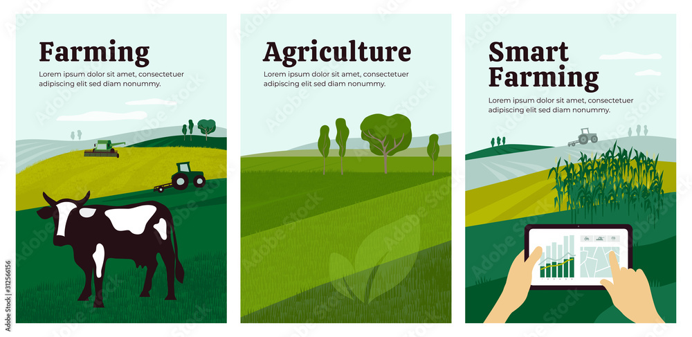 Set of banners with agriculture, livestock, combine harvester, cow in ...