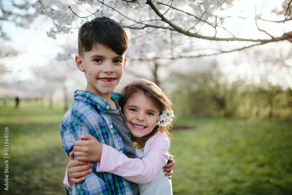 siblings hugging in cherry blossoms Stock Photo | Adobe Stock