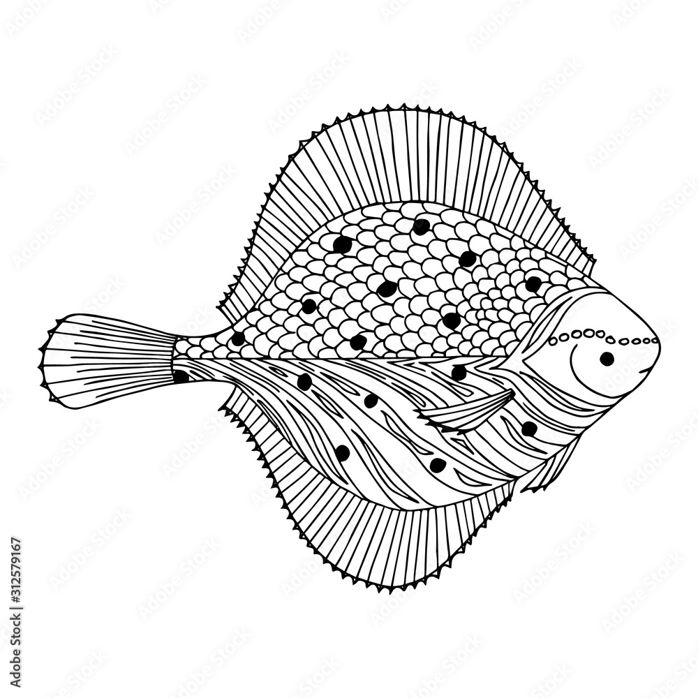 Flounder. Hand drawn coloring page. Stock vector illustration. Stock ...