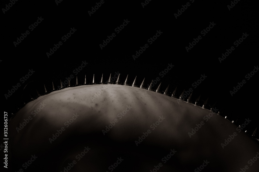 Under Low Exposure Art Spike Concept, Fashion Big Spikes lie on Back of ...