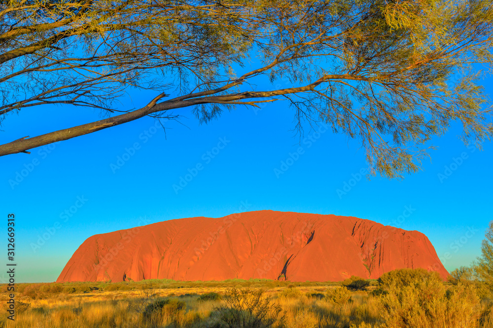 Bush vegetation branches of Australian dry season outback frame the red ...