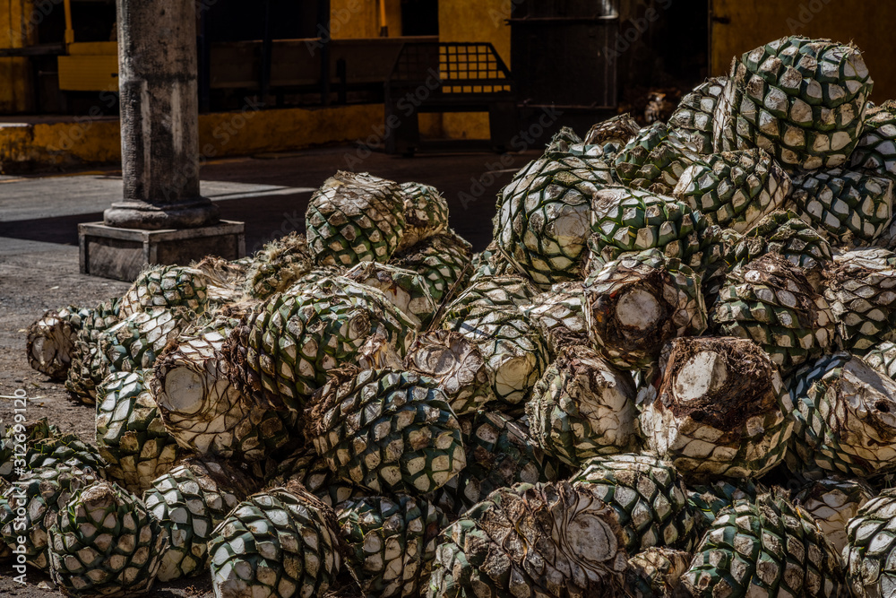 Blue Agave Pineapple