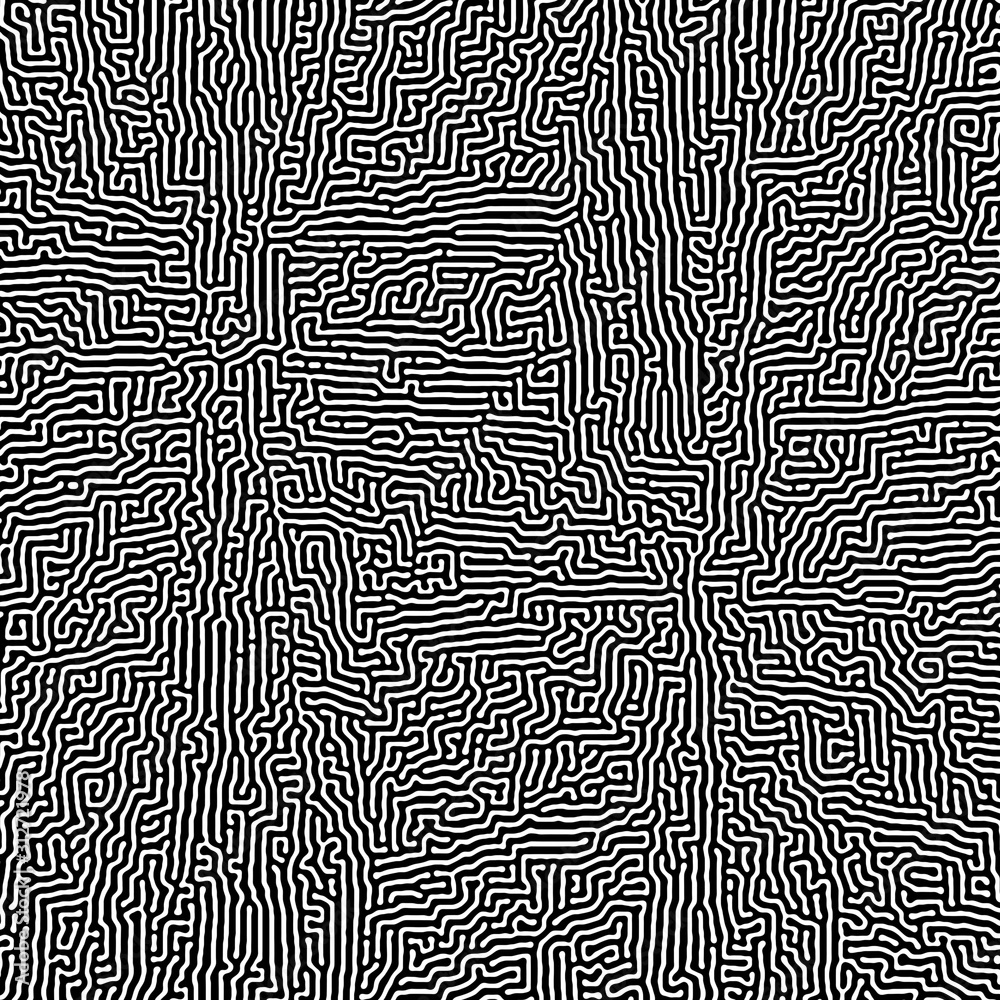 2d black and white reaction diffusion pattern. Organic natural shape ...