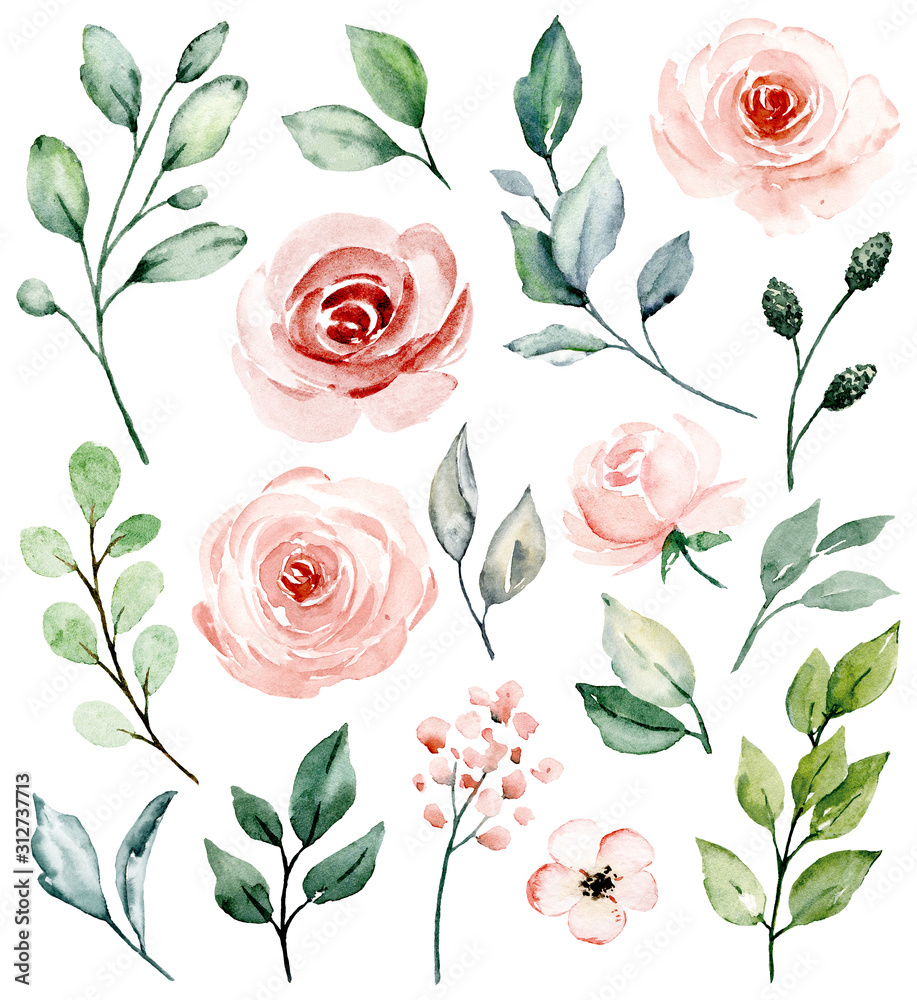Pink flowers watercolor, floral clip art. Set blossom blush roses and ...