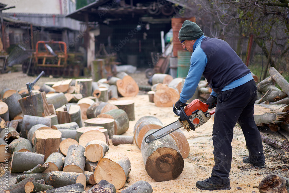 Sawyer bucking logs Stock Photo | Adobe Stock