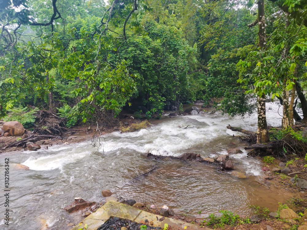 A long exposure image of flowing river inside a forest in Coorg ...