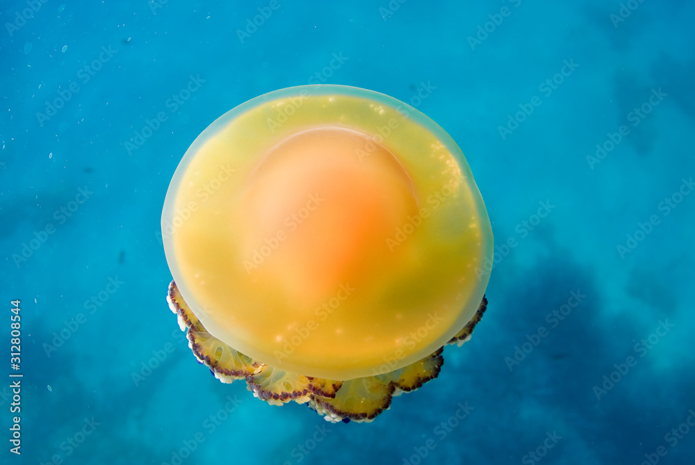 30s-50s chitchat club - Part 66 | Page 15553 | HardwareZone Forums