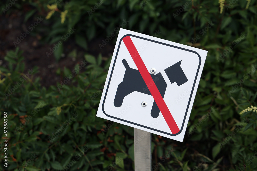 No dogs sign in a park letting people no that this is a no dog zone ...