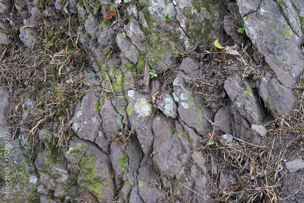 Shale Sedimentary Rock. Shale is a laminated or fissile clastic ...