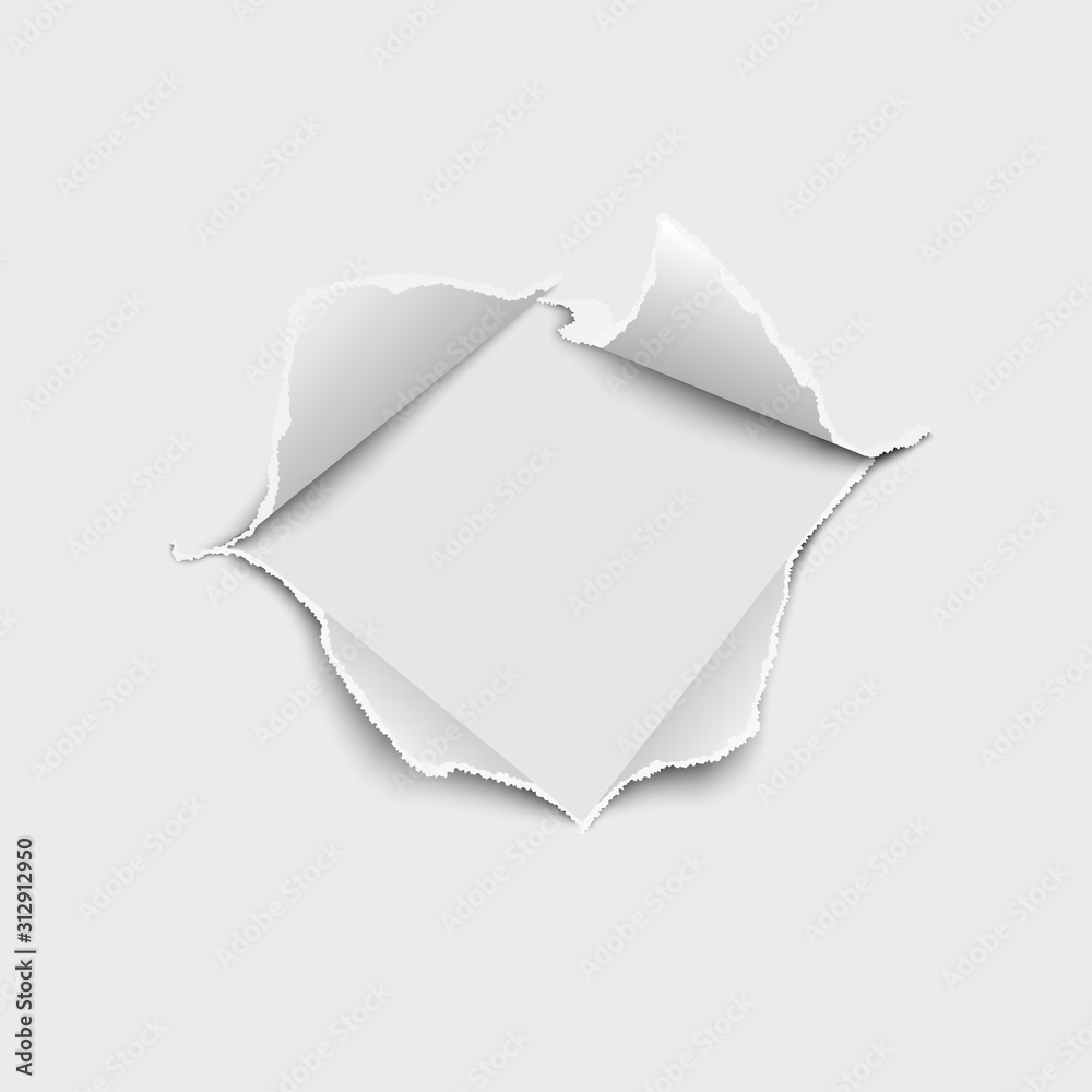 Snatched middle of vector paper with torn edges, soft shadow and empty ...