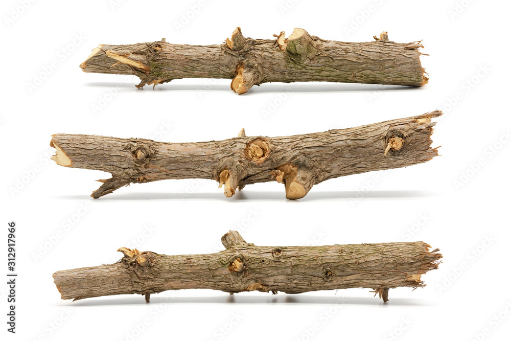 Set of multiple thick pine tree sticks isolated on white background ...