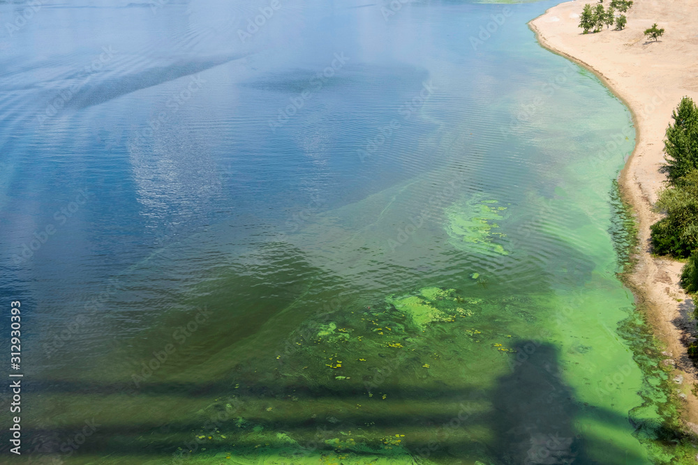 Polluted green river water. Toxic bacteria and harmful waste pollute ...