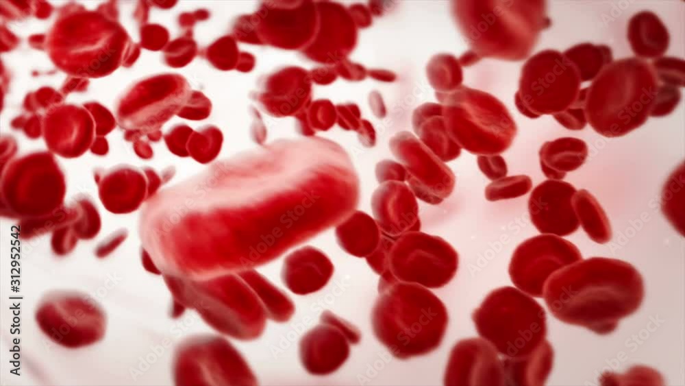 Video Stock Blood cells in an artery. 2 videos in 1 file. Red blood ...