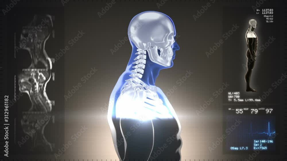Detailed human body turning. Scan. Loopable. Blue and white. Brown ...