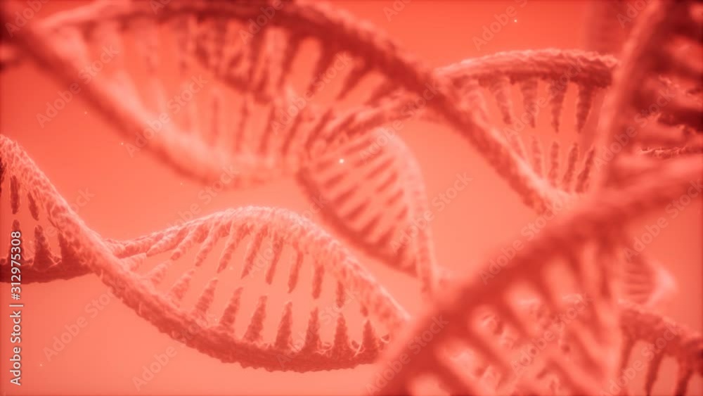 structure of the DNA double helix animation, DNA molecular and ...
