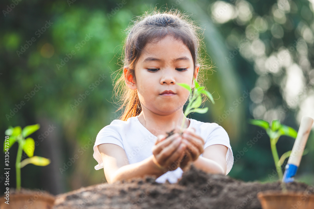 Cute asian child girl holding young tree for planting in the black soil ...