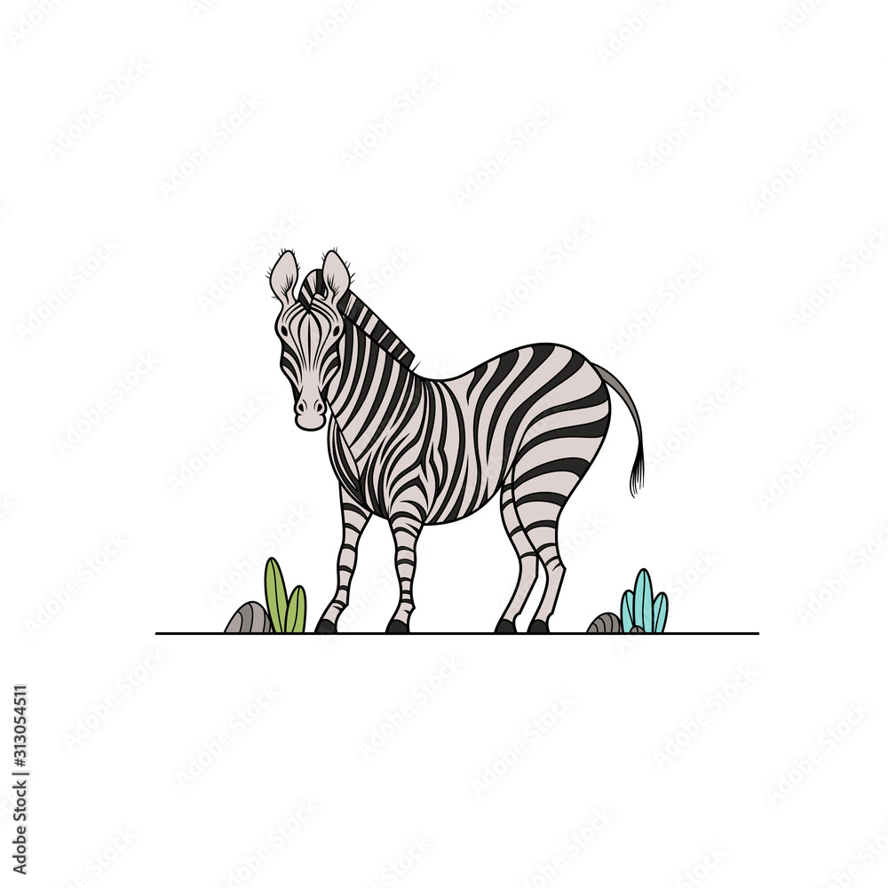 Zebra outline vector stock illustration for coloring book. African wild ...