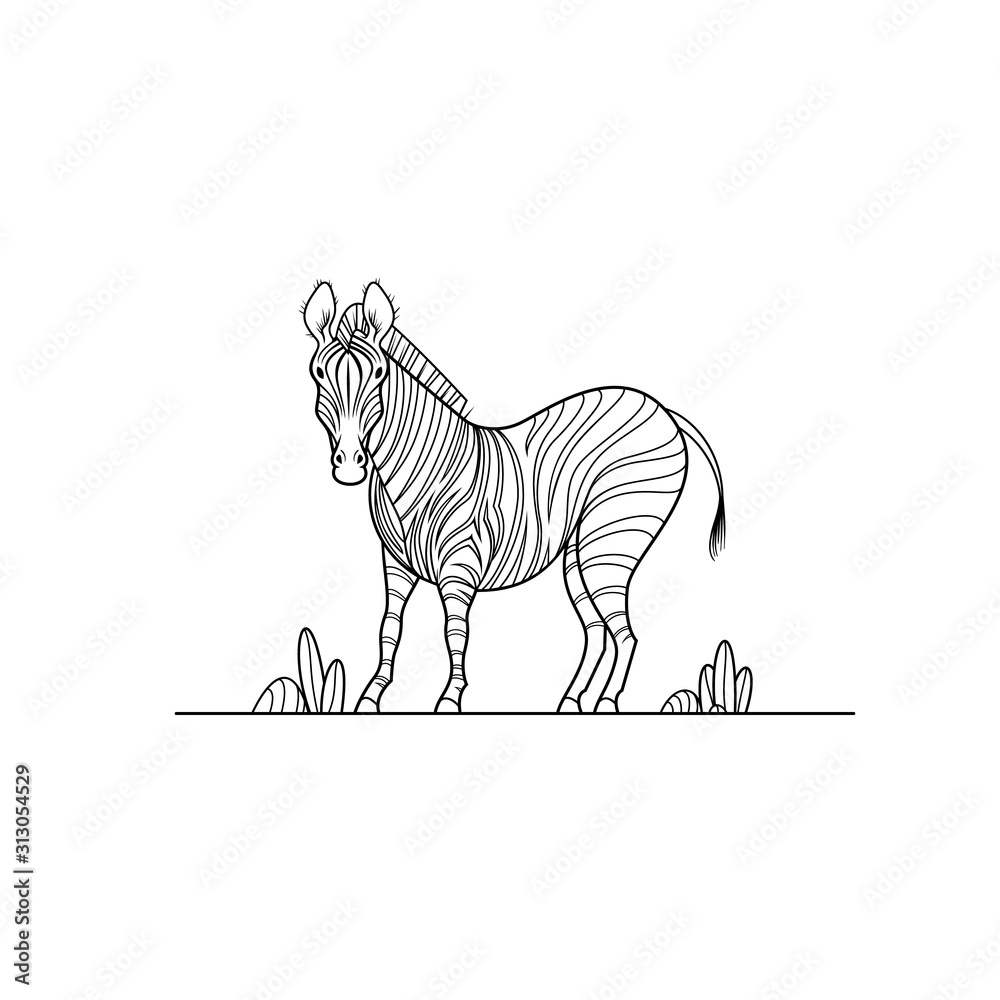 Zebra outline vector stock illustration for coloring book. African wild ...