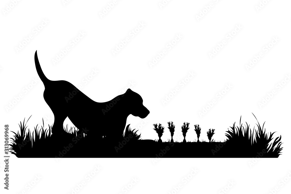 Vector silhouette of dog on garden. Symbol of animal, field, farm, wait ...