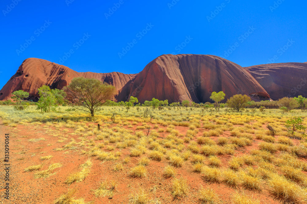 Central Australian landscape with bush vegetation in dry season at ...
