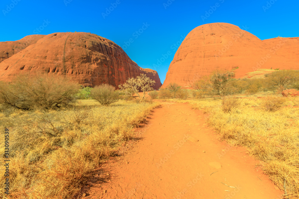 Sand footpath and bush vegetation in winter season of walk between two ...