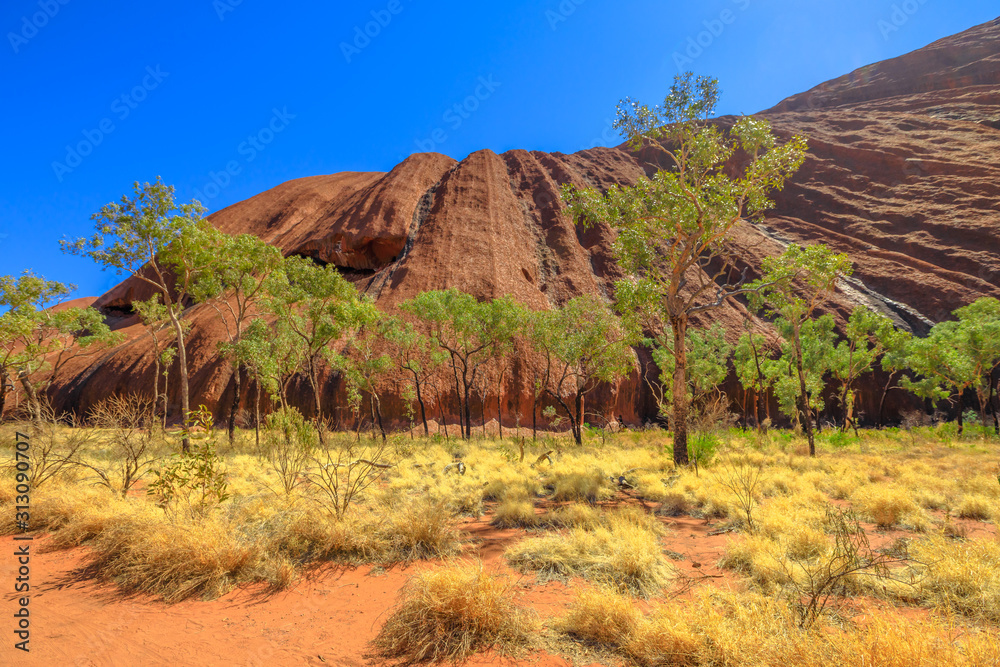 Foto de Central Australian landscape with bush vegetation in dry season ...